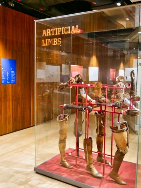 Wellcome Collection Review: London's Most Unique Museum - girl gone london